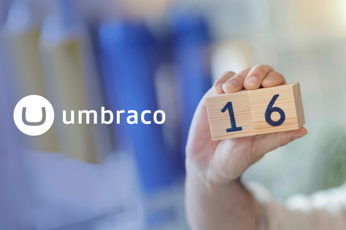 Umbraco 16: What's New and Why It Matters for Your Website | Harikrishna Parmar